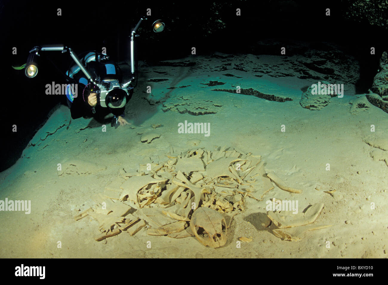 Underwater Photographs Stock Photos & Underwater Photographs Stock ...