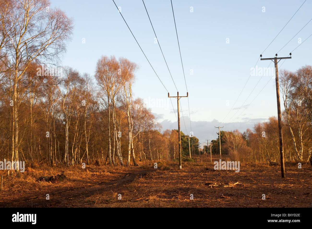Rural cables hi-res stock photography and images - Alamy