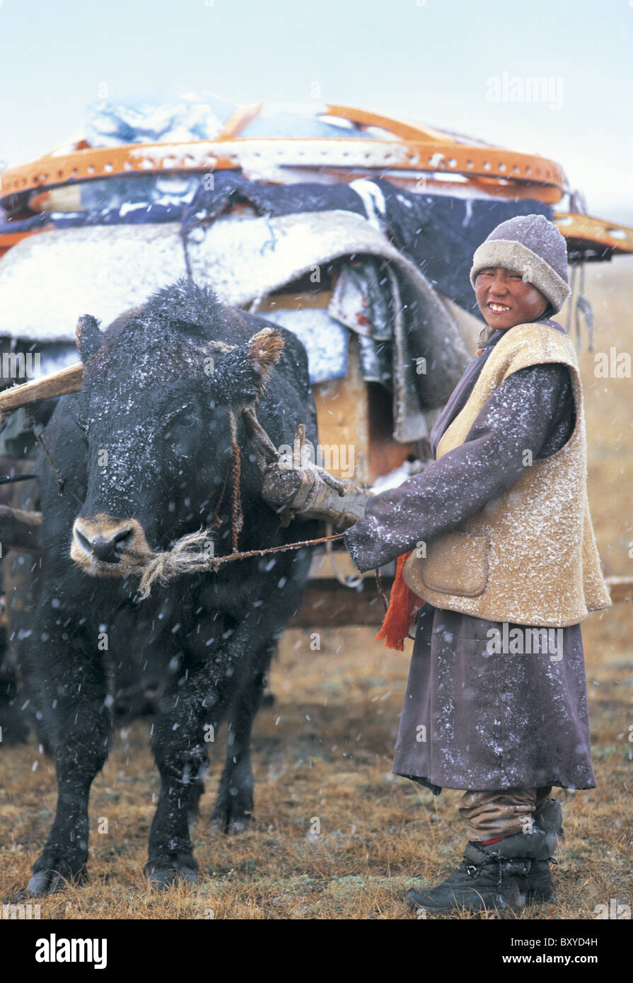 Tsetserleg hi-res stock photography and images - Alamy