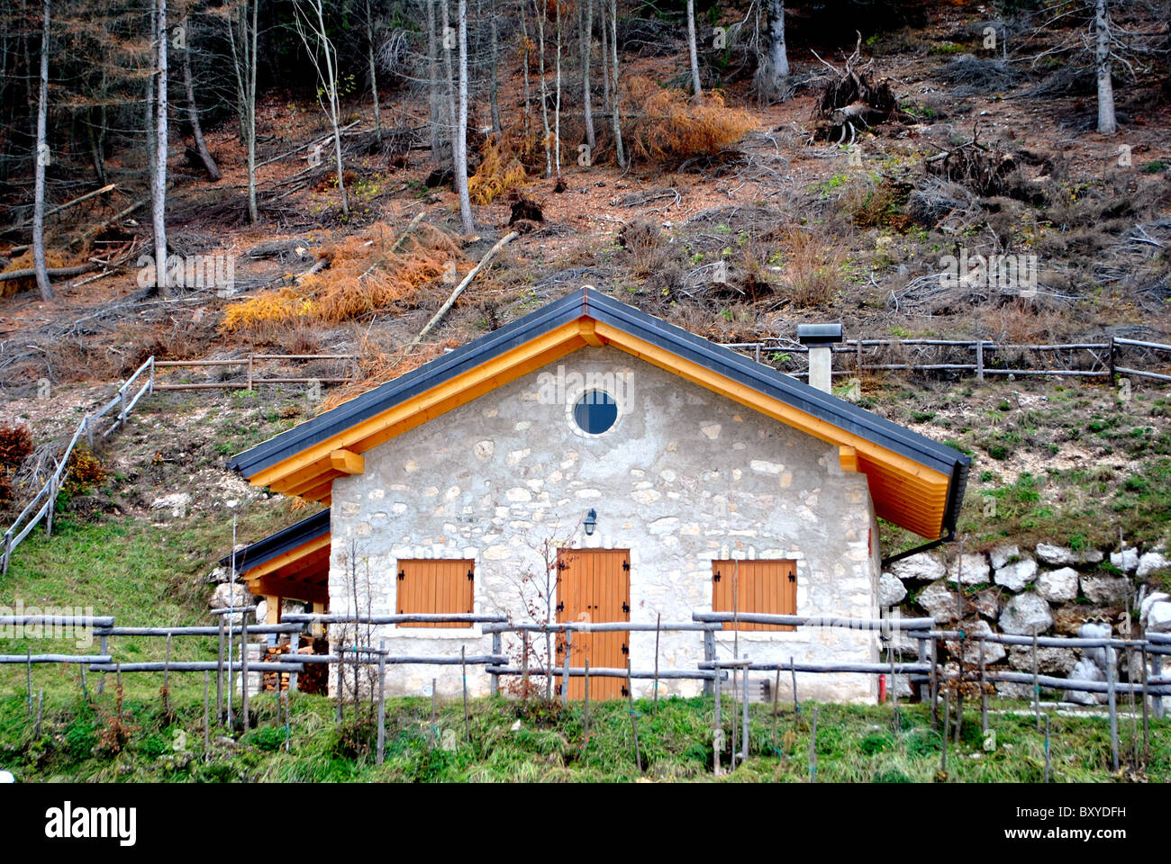 mountain hut in the forest of larch red Stock Photo - Alamy