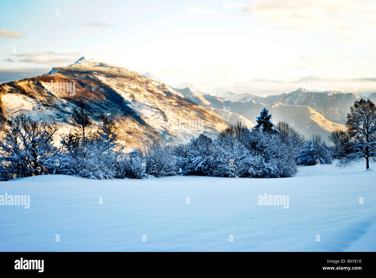 winter landscape with snow-blanketed forest Stock Photo - Alamy