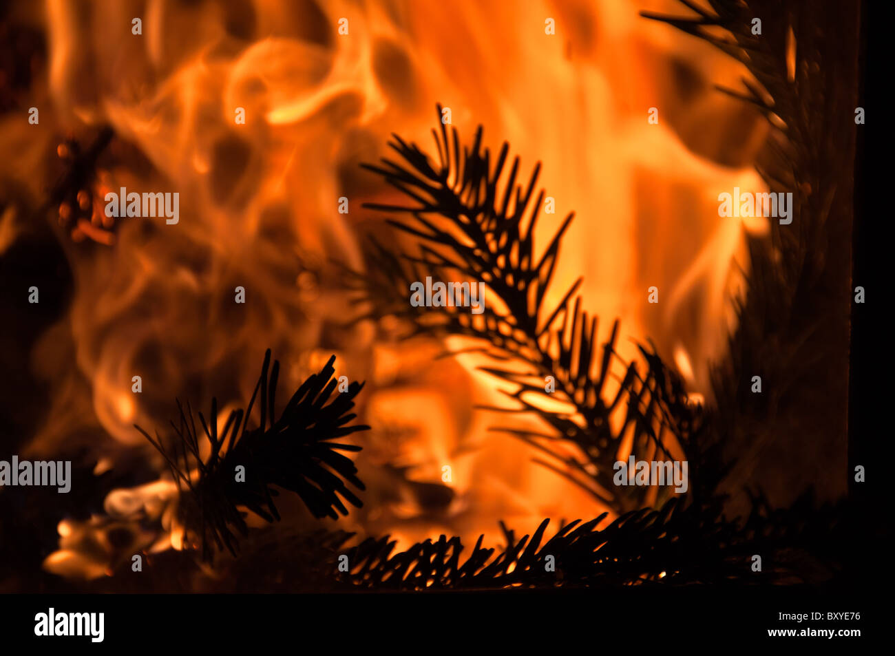 roaring fire with fir branches in fireplace Stock Photo - Alamy