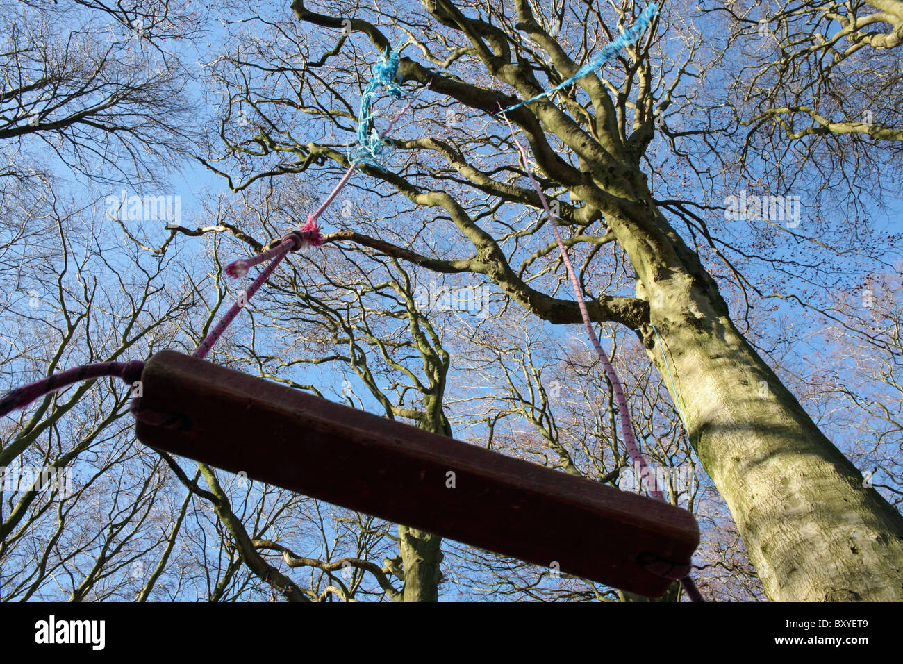 rope, tree swing Stock Photo - Alamy
