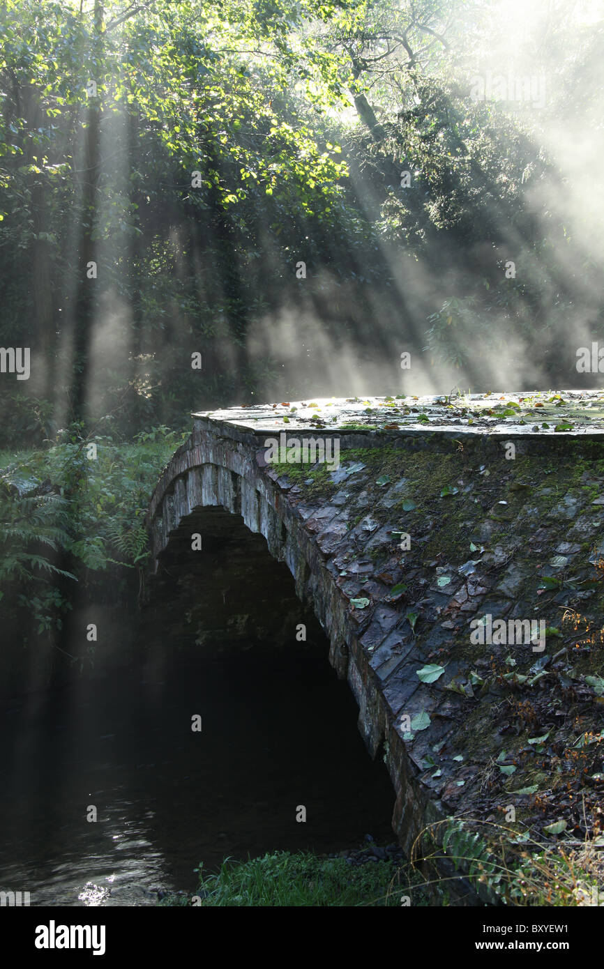 Adlington Hall & Gardens, England. Dramatic early morning view of the ...
