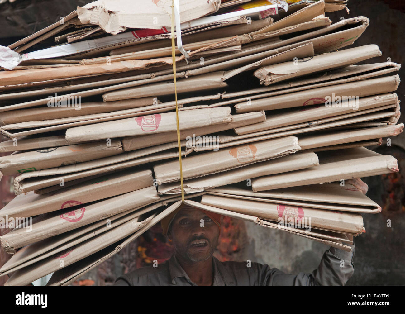 recycle worker carrying a load of cardboard boxes, Kathmandu, Nepal ...