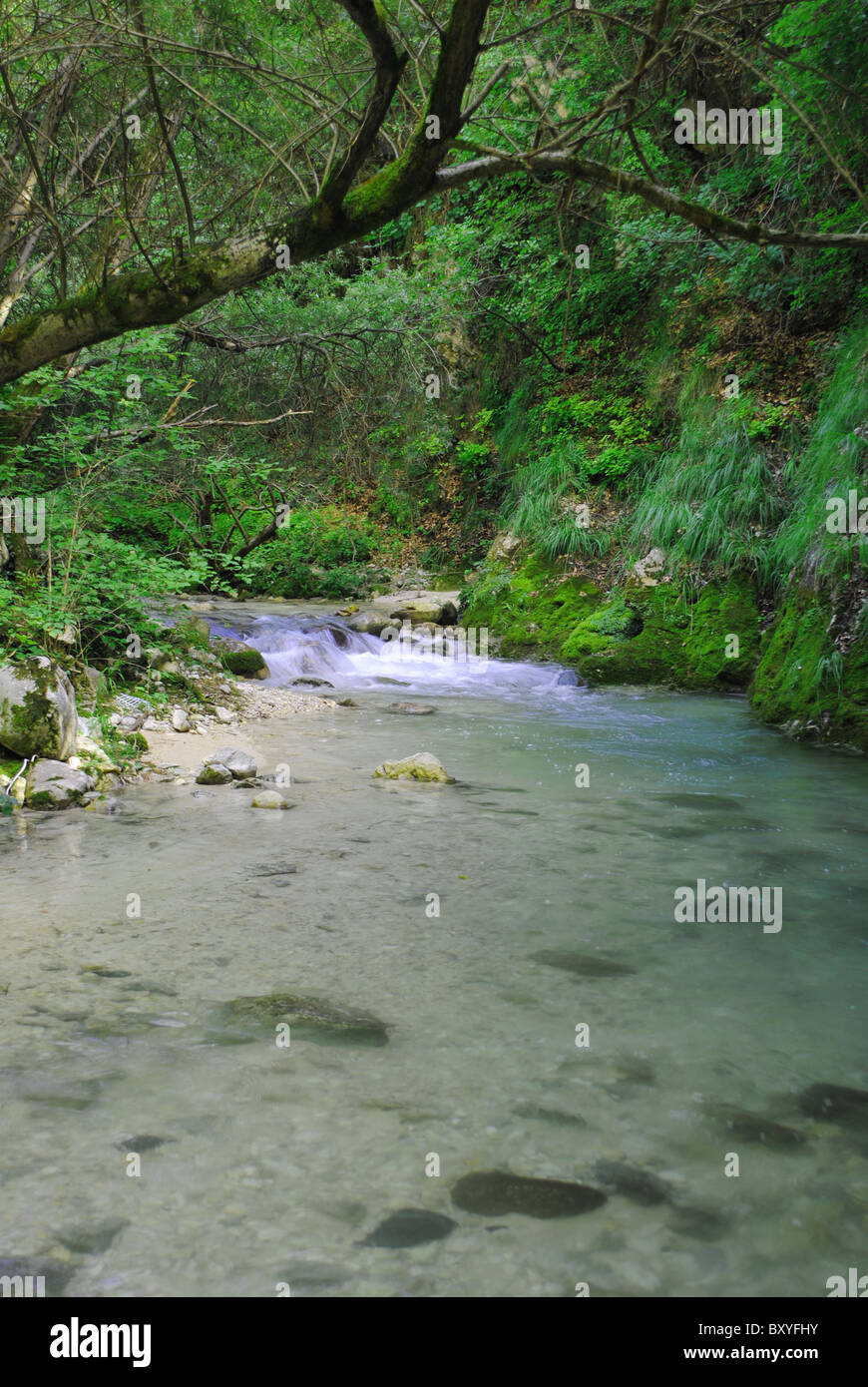 clear water river with a waterfall surrounded by wilderness Stock Photo ...