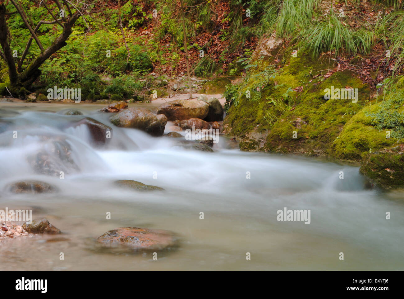 clear water river with a waterfall surrounded by wilderness Stock Photo ...