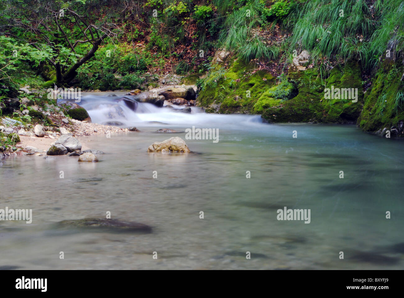 clear water river with a waterfall surrounded by wilderness Stock Photo ...