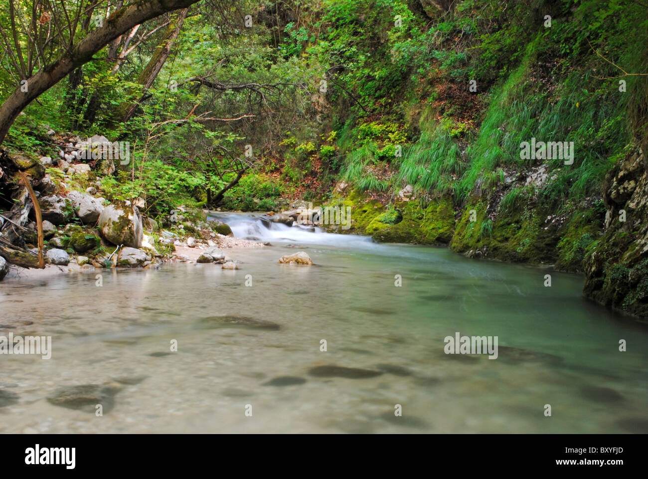 clear water river with a waterfall surrounded by wilderness Stock Photo ...