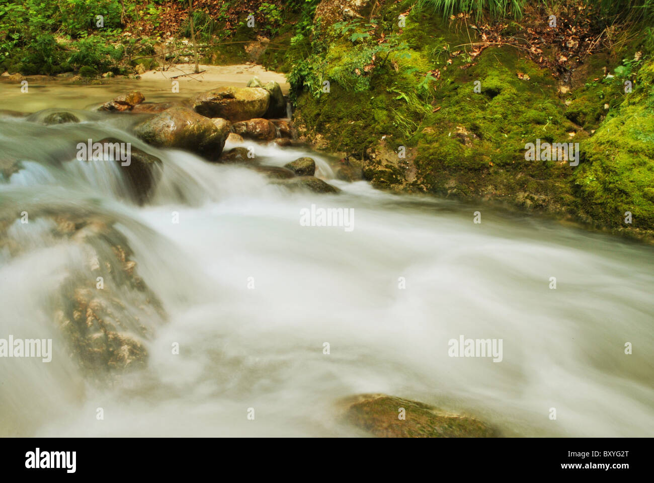 clear water river with a waterfall surrounded by wilderness Stock Photo ...