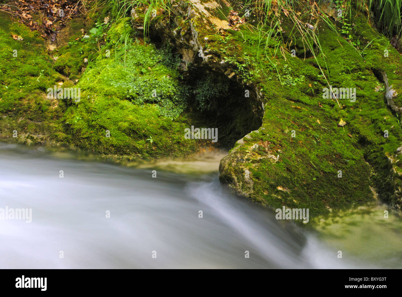 clear water river with a waterfall surrounded by wilderness Stock Photo ...