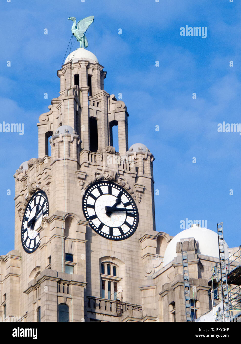 Liverpool building clock face hi-res stock photography and images - Alamy