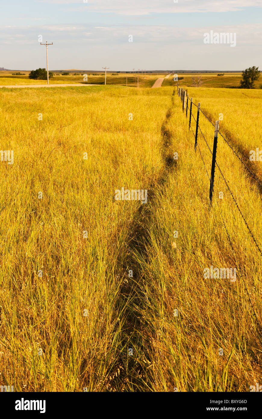 Buffalo gap national grasslands hi-res stock photography and images - Alamy