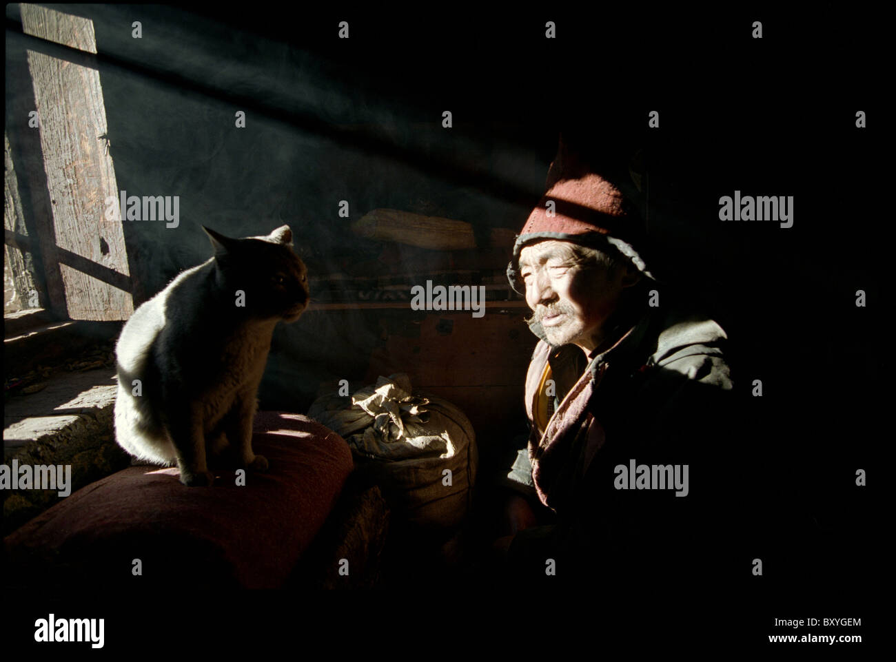 bhutanese monk at home with his cat Stock Photo - Alamy