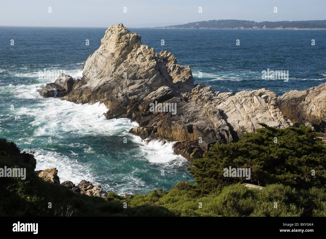 Elk237 x135 hi-res stock photography and images - Alamy