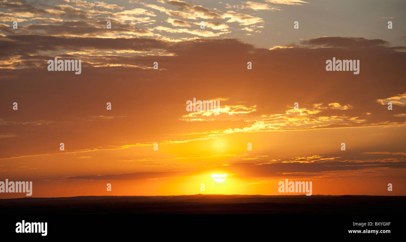 Prairie gold hi-res stock photography and images - Alamy