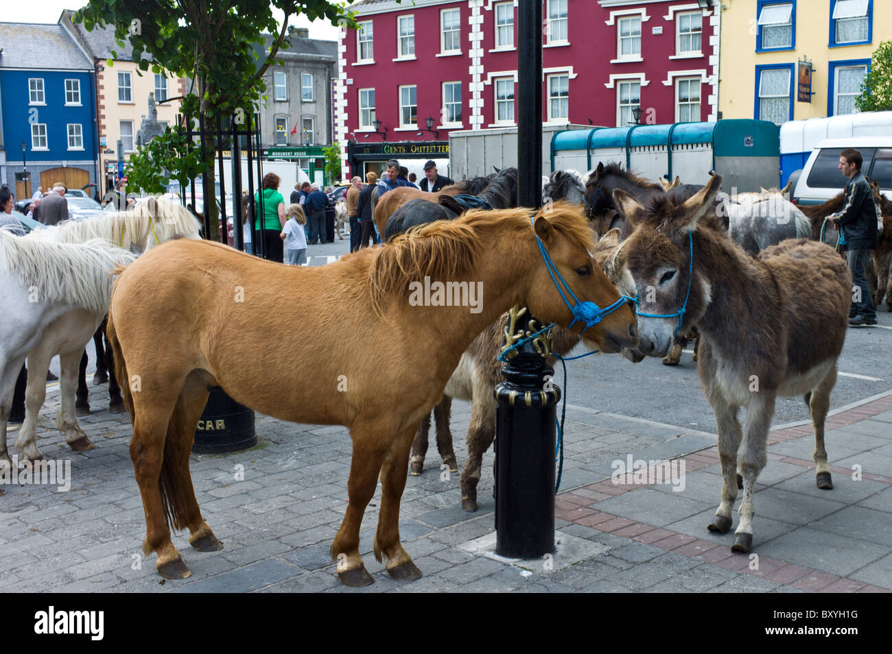 Horse fair in market square in Kilrush, Co. Clare, Ireland. Traditional ...