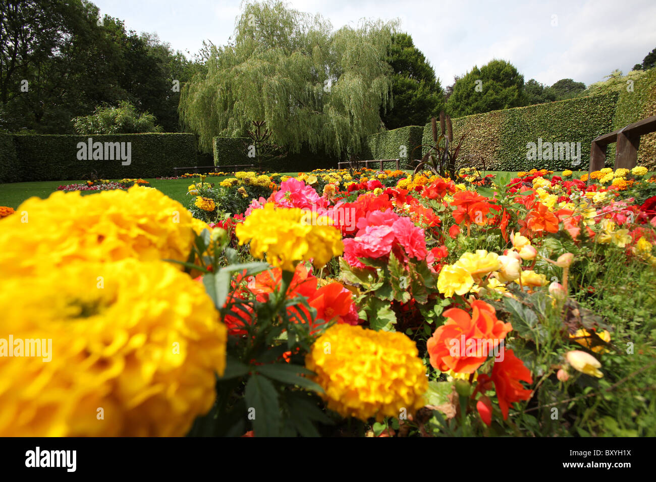 Walkden Gardens, Sale, England. Colourful summer view of Walkden ...