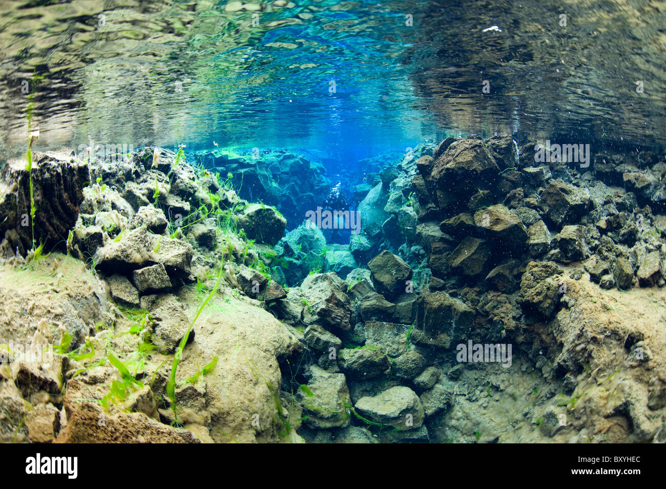 Silfra lagoon, Silfra crack, Thingvellir Lake, Iceland Stock Photo - Alamy