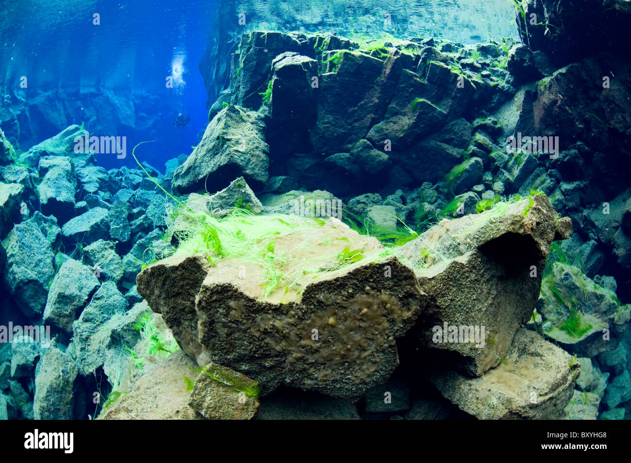 Silfra lagoon, Silfra crack, Thingvellir Lake, Iceland Stock Photo - Alamy