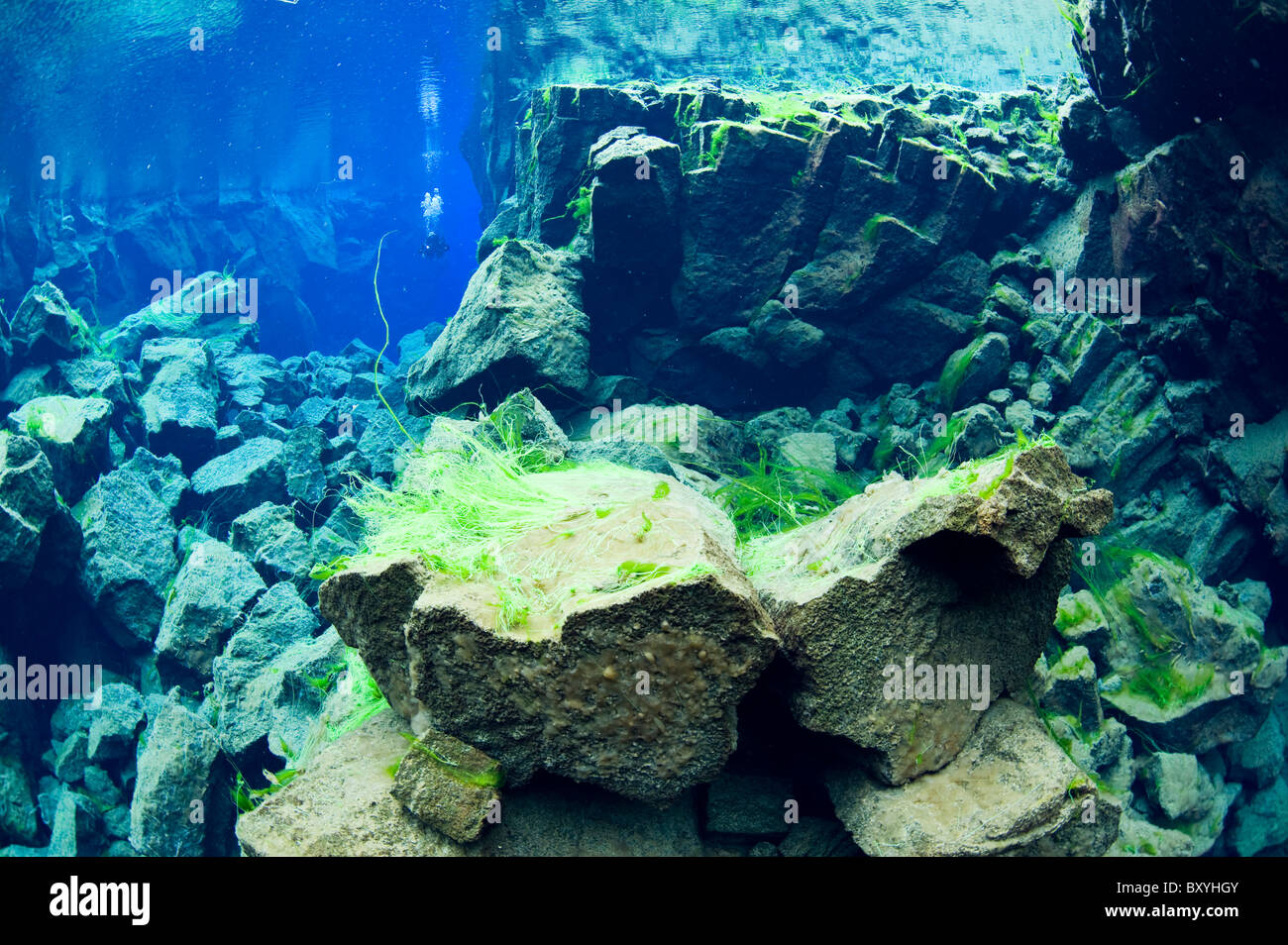 Silfra lagoon, Silfra crack, Thingvellir Lake, Iceland Stock Photo - Alamy