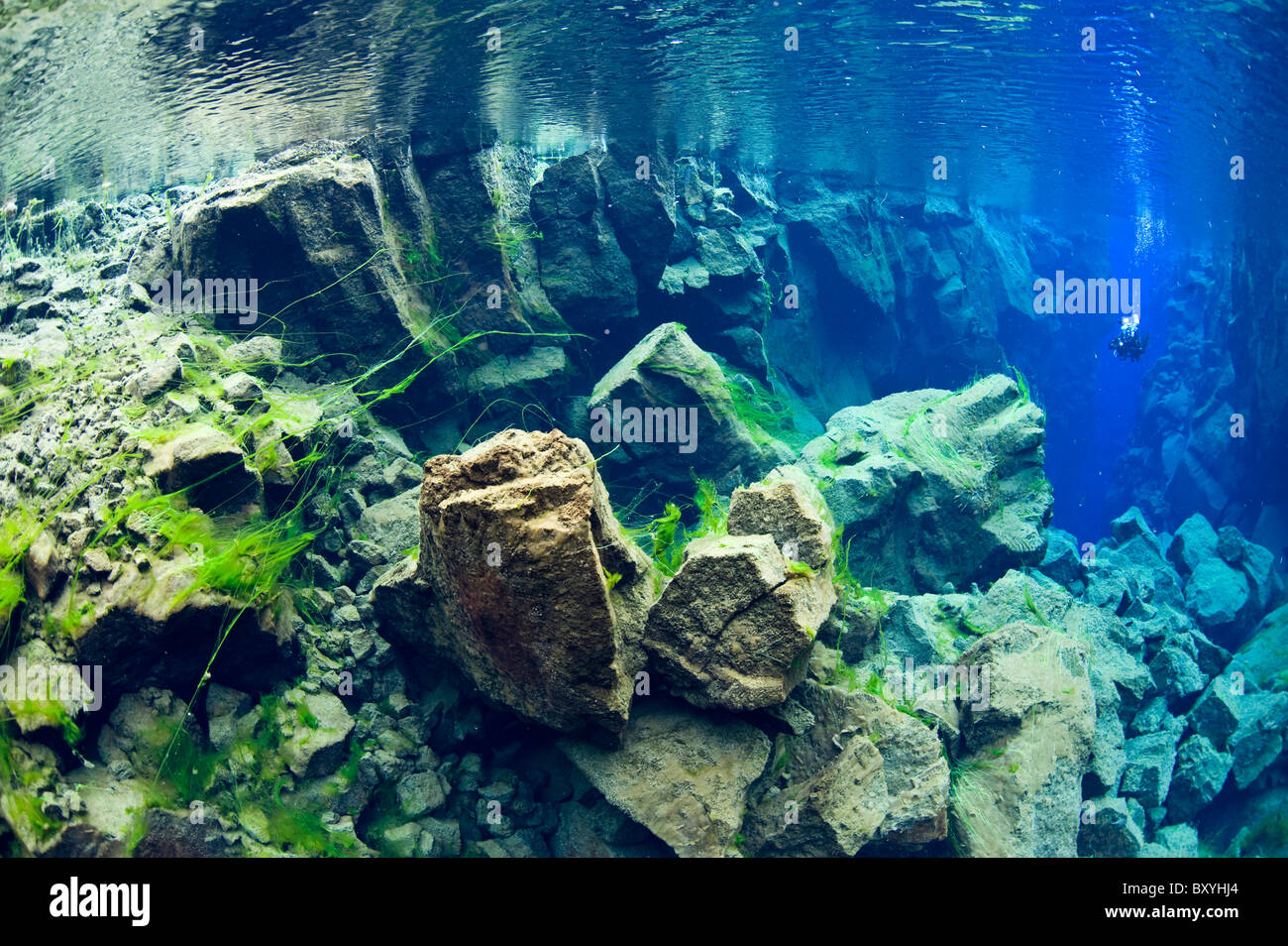 Silfra lagoon, Silfra crack, Thingvellir Lake, Iceland Stock Photo - Alamy