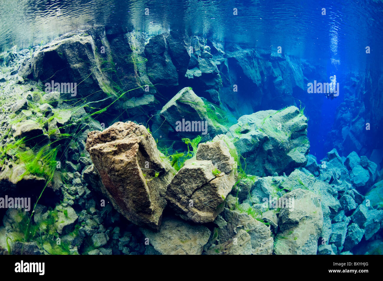 Silfra lagoon, Silfra crack, Thingvellir Lake, Iceland Stock Photo - Alamy