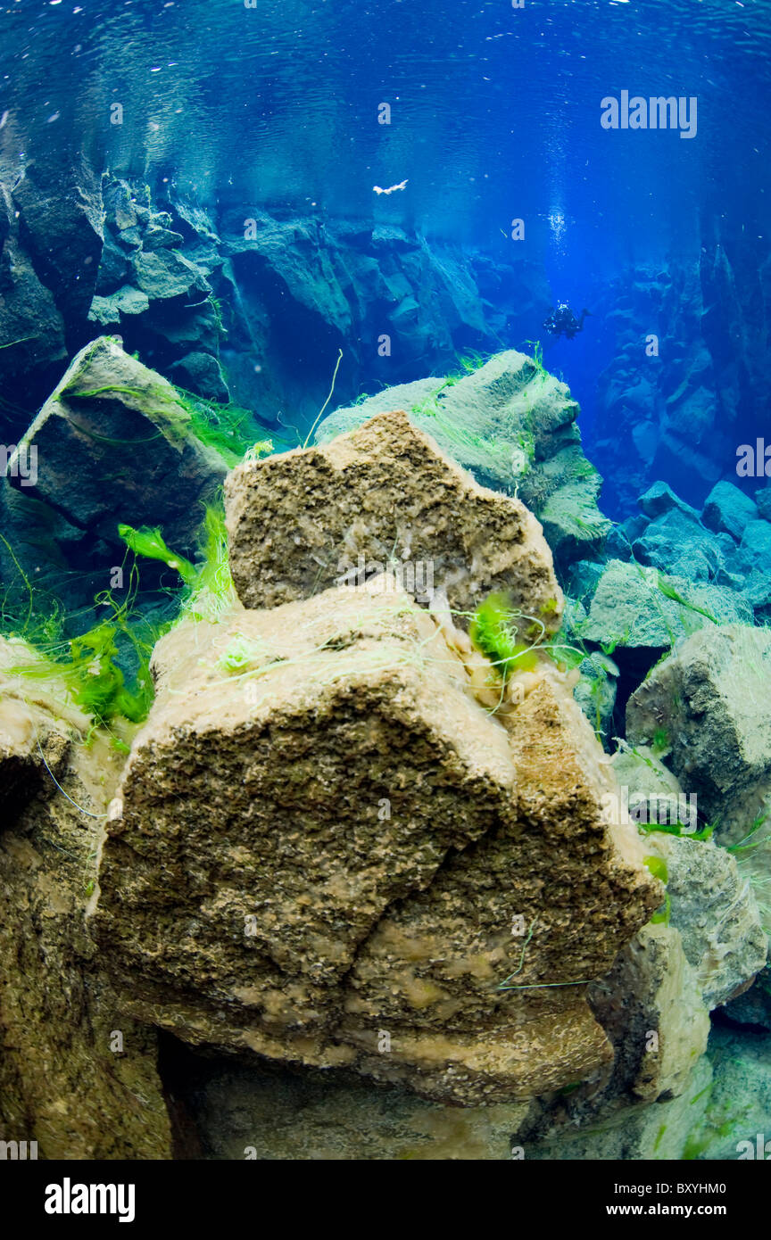 Silfra lagoon, Silfra crack, Thingvellir Lake, Iceland Stock Photo - Alamy