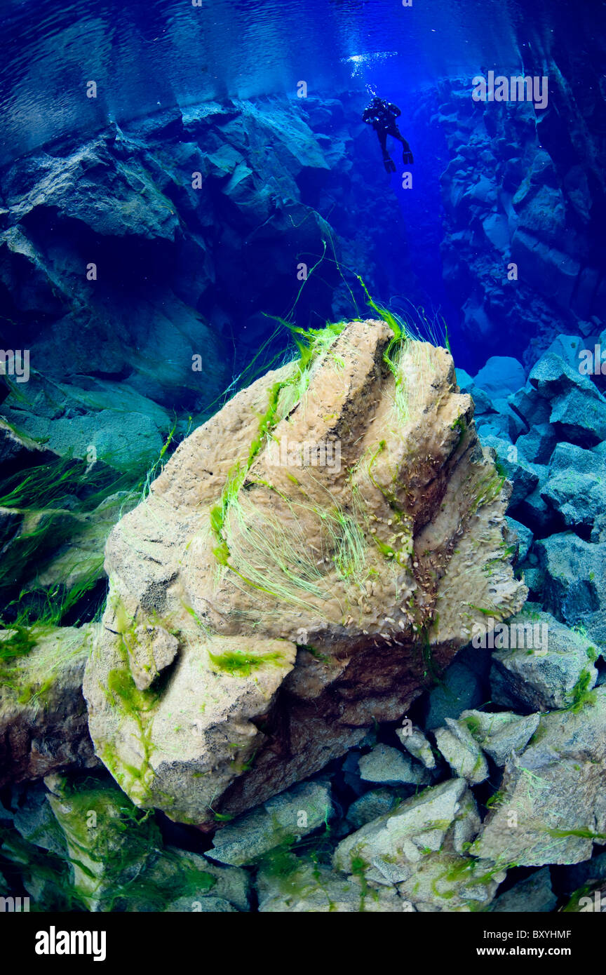 Silfra lagoon, Silfra crack, Thingvellir Lake, Iceland Stock Photo - Alamy