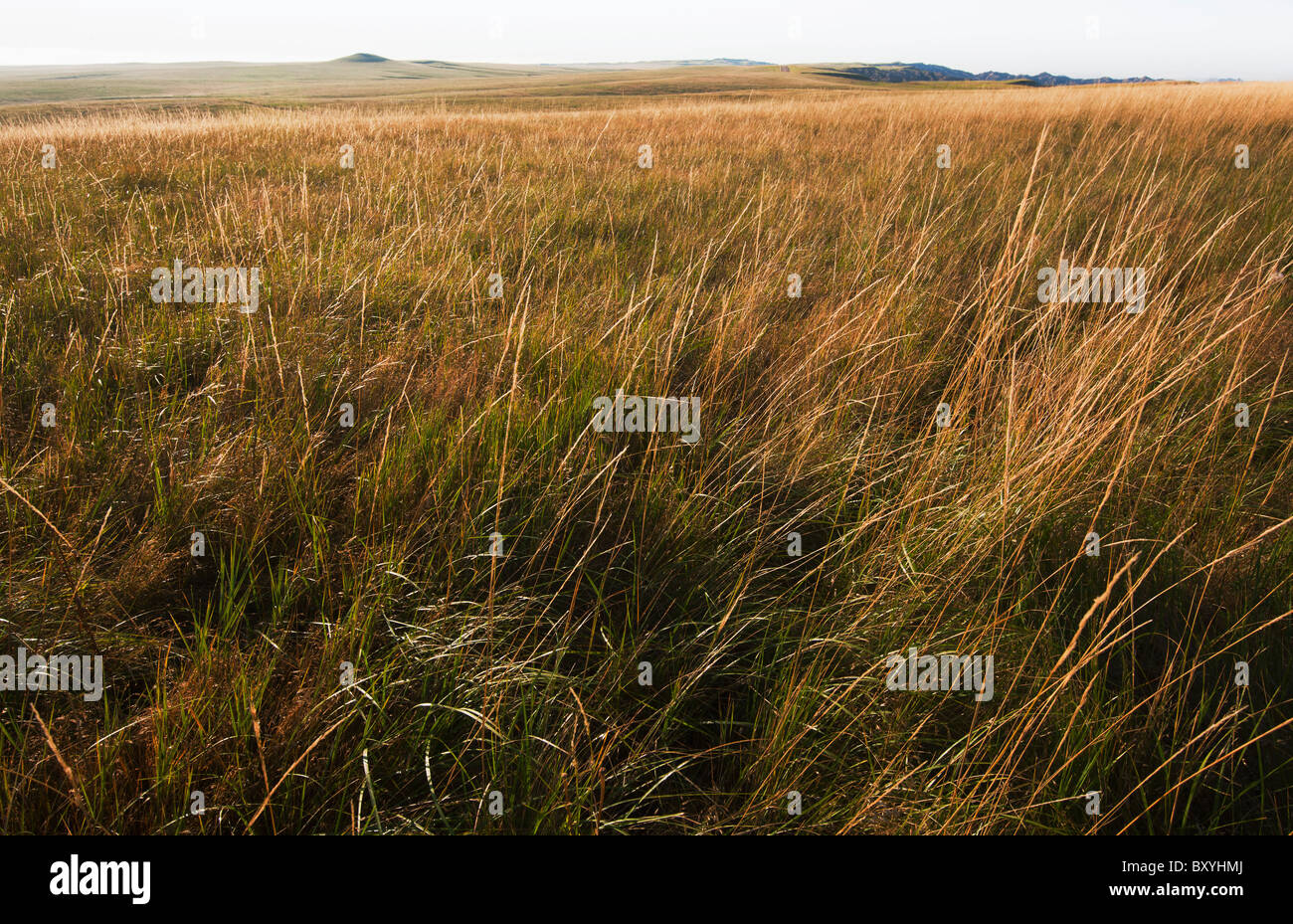 Grassland south dakota hi-res stock photography and images - Alamy