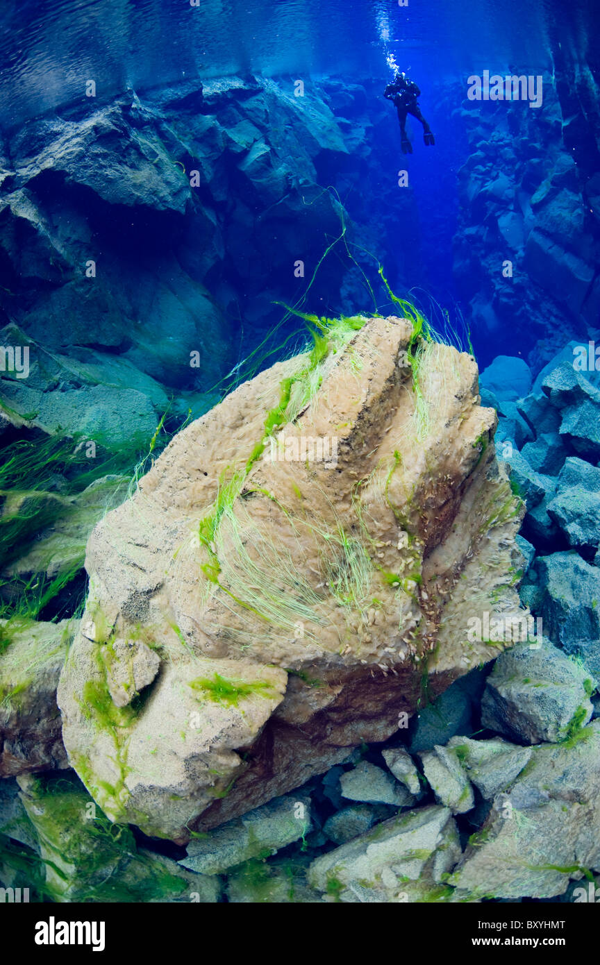 Silfra lagoon, Silfra crack, Thingvellir Lake, Iceland Stock Photo - Alamy