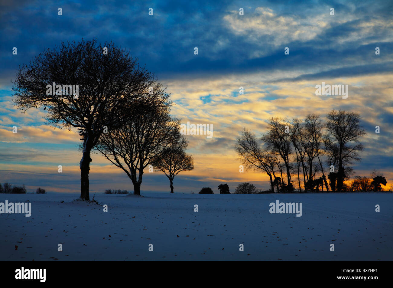 A dramatic winter sunset sky near Luddenham in Kent Stock Photo - Alamy