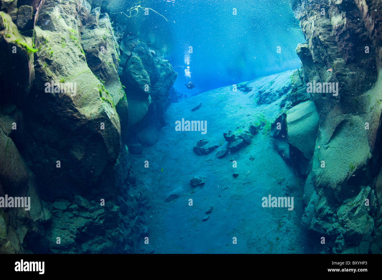 Silfra lagoon, Silfra crack, Thingvellir Lake, Iceland Stock Photo - Alamy