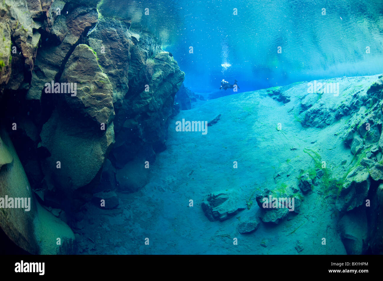Silfra lagoon, Silfra crack, Thingvellir Lake, Iceland Stock Photo - Alamy