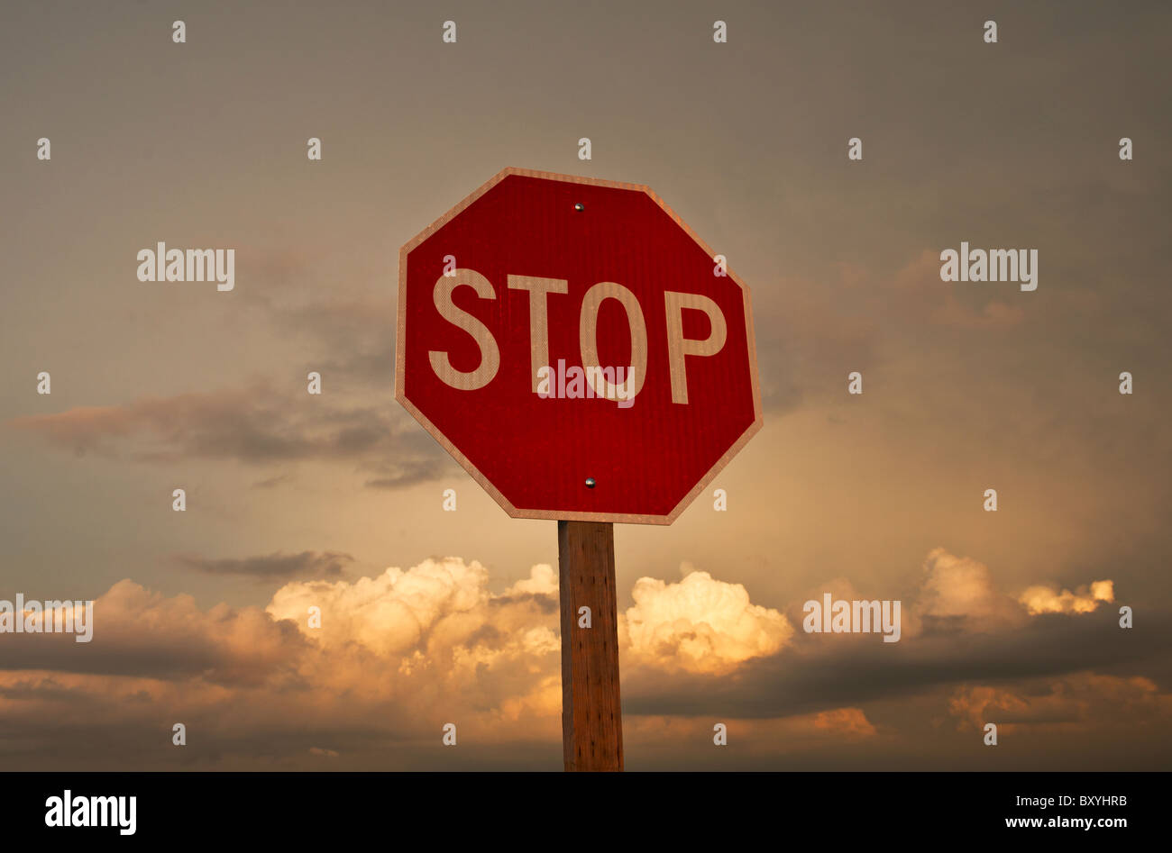 Stop sign against sky at sunset Stock Photo - Alamy