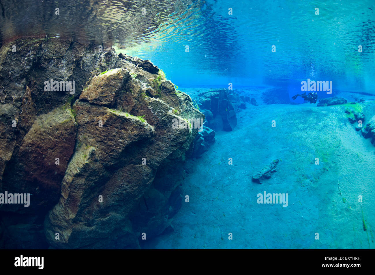 Silfra lagoon, Silfra crack, Thingvellir Lake, Iceland Stock Photo - Alamy