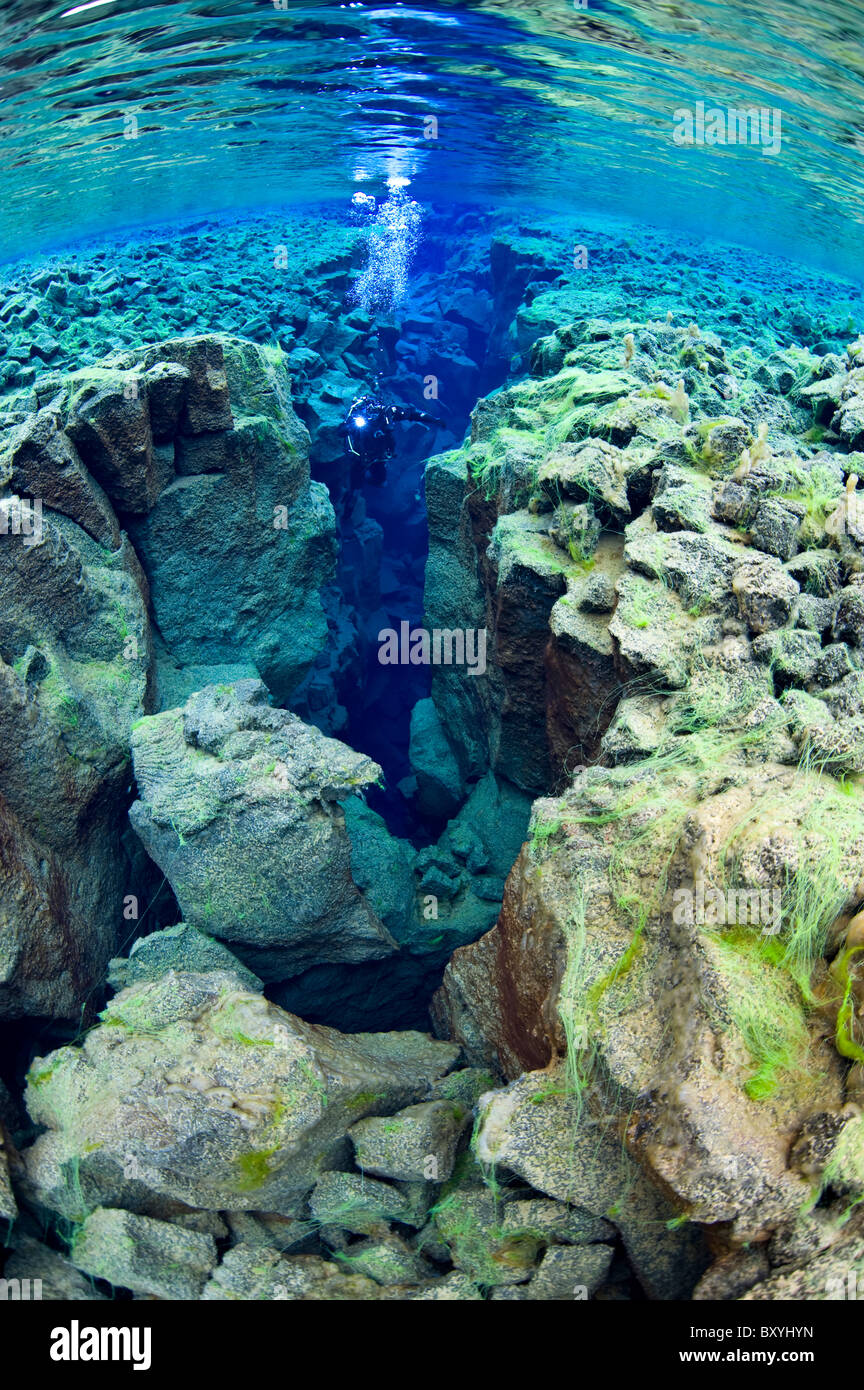 Silfra lagoon, Silfra crack, Thingvellir Lake, Iceland Stock Photo - Alamy