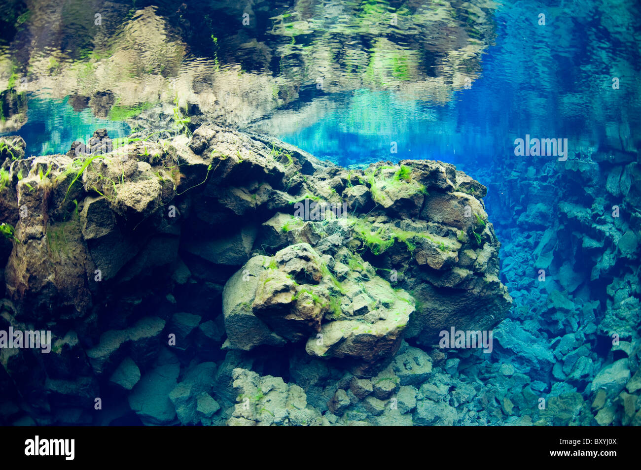 Silfra lagoon, Silfra crack, Thingvellir Lake, Iceland Stock Photo - Alamy