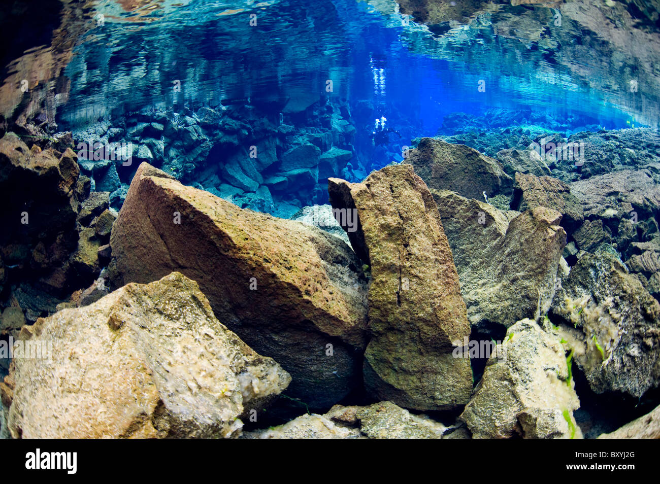 Silfra lagoon, Silfra crack, Thingvellir Lake, Iceland Stock Photo - Alamy