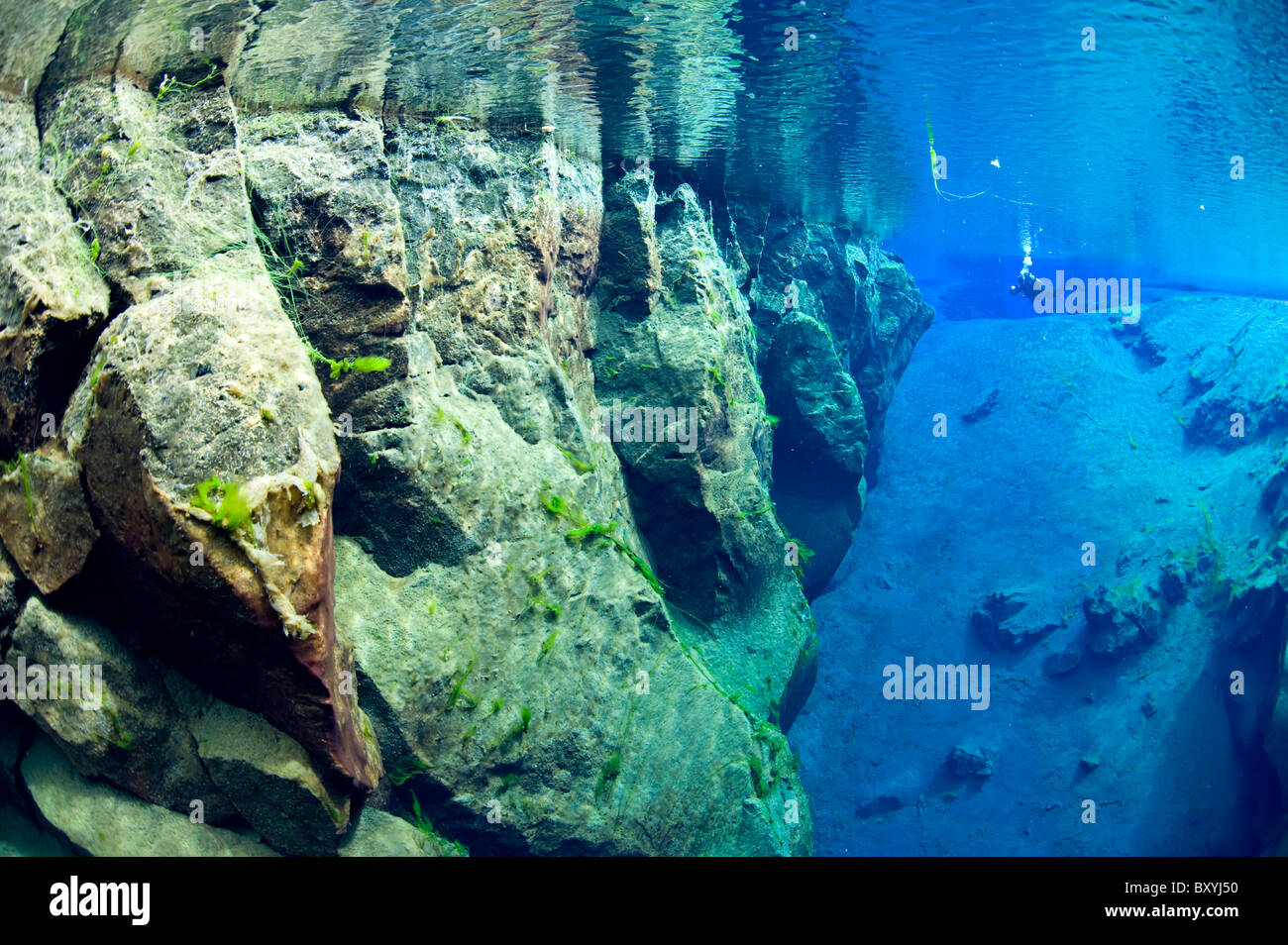 Silfra lagoon, Silfra crack, Thingvellir Lake, Iceland Stock Photo - Alamy