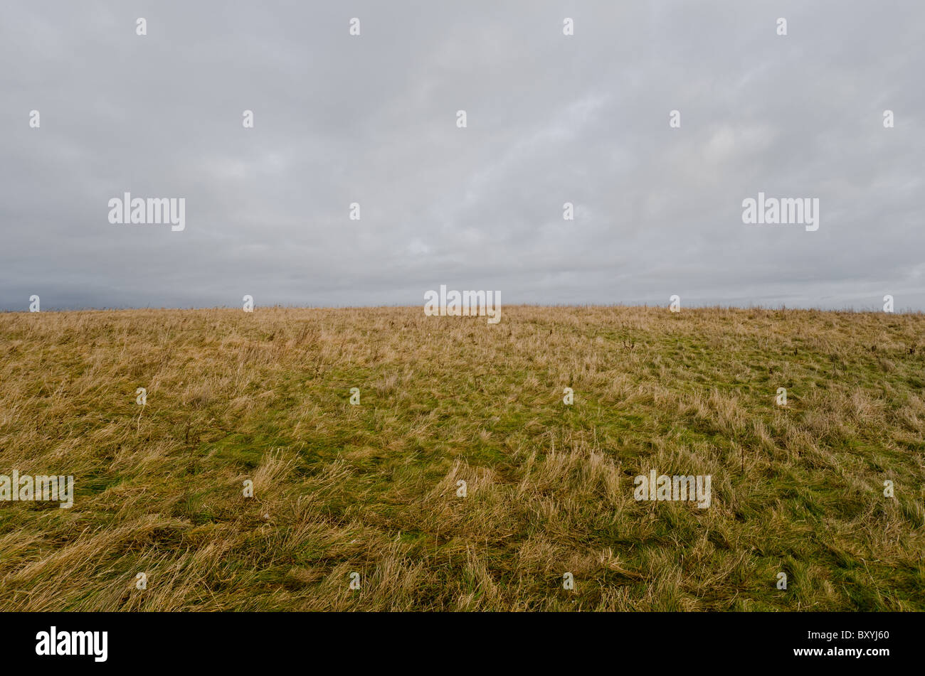 Sweeping plain hi-res stock photography and images - Alamy