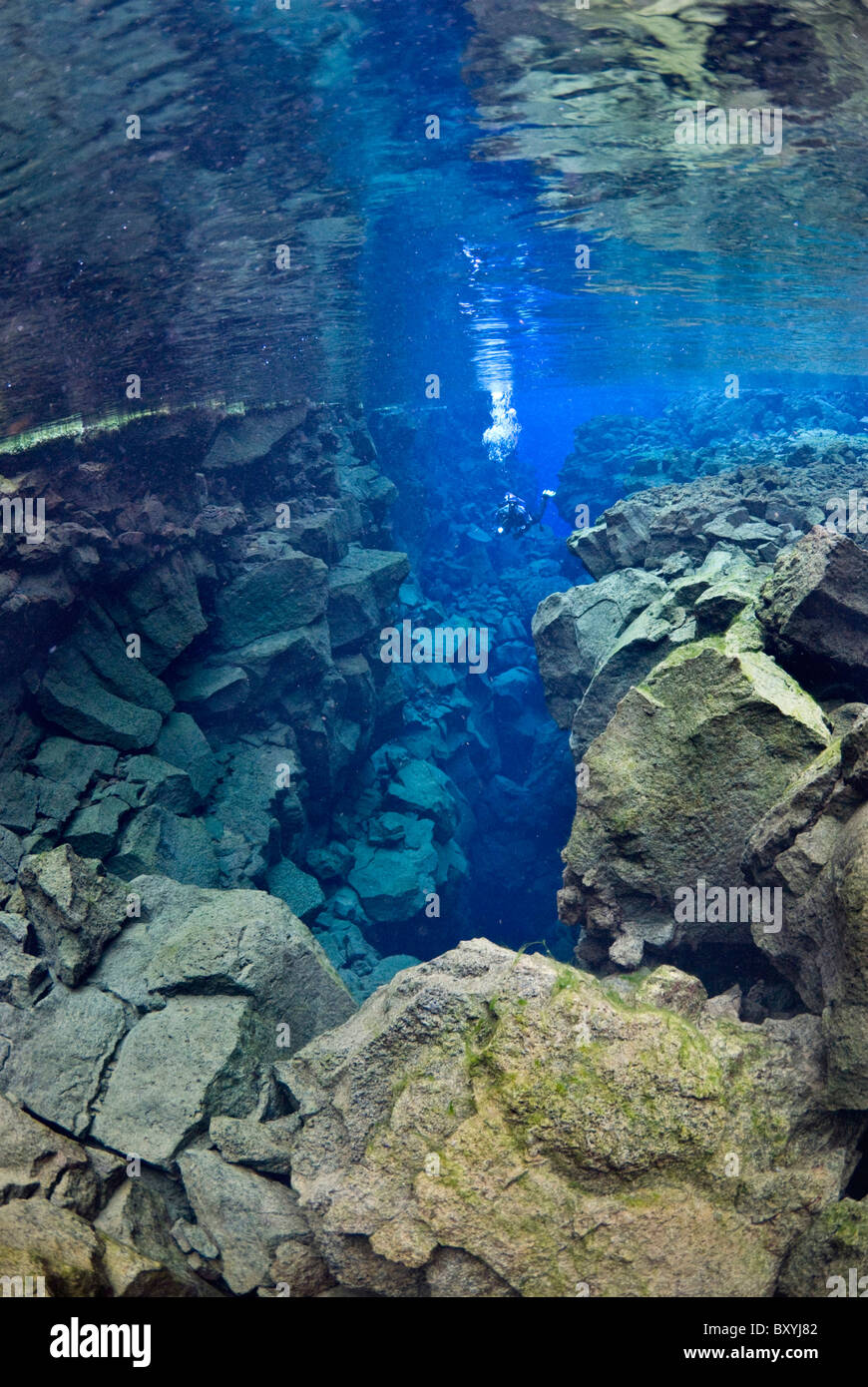 Silfra lagoon, Silfra crack, Thingvellir Lake, Iceland Stock Photo - Alamy