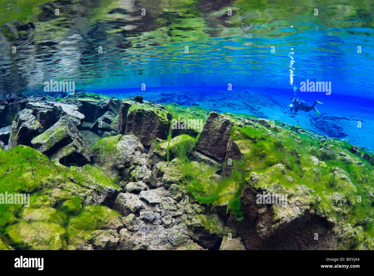 Silfra lagoon, Silfra crack, Thingvellir Lake, Iceland Stock Photo - Alamy