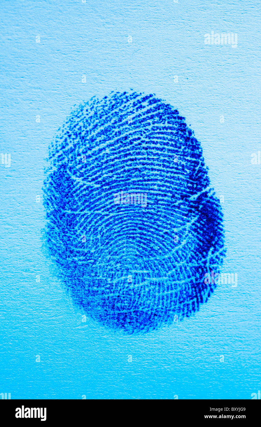 Close up of fingerprint on blue background Stock Photo - Alamy