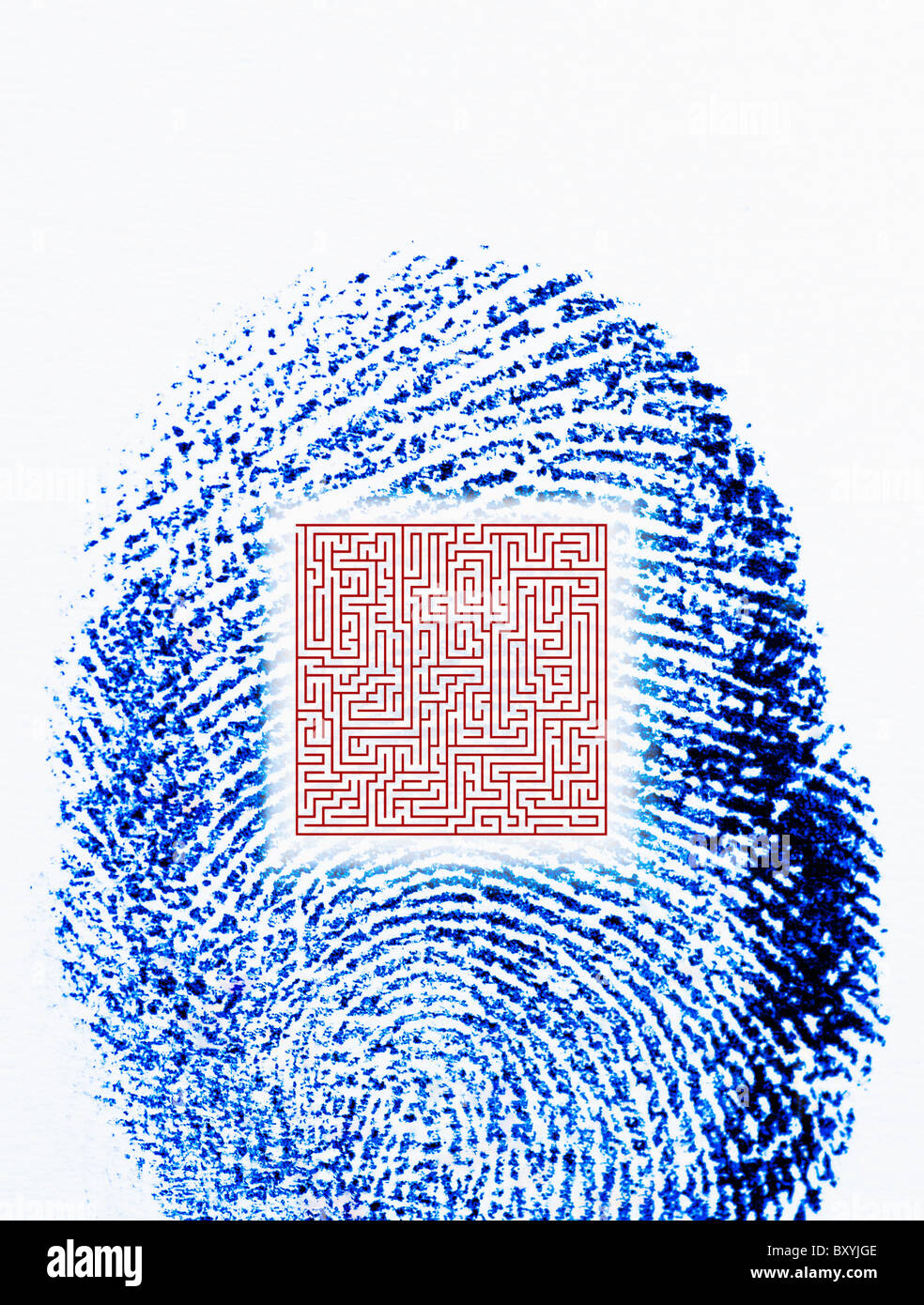 Close up of fingerprint with square pattern Stock Photo - Alamy