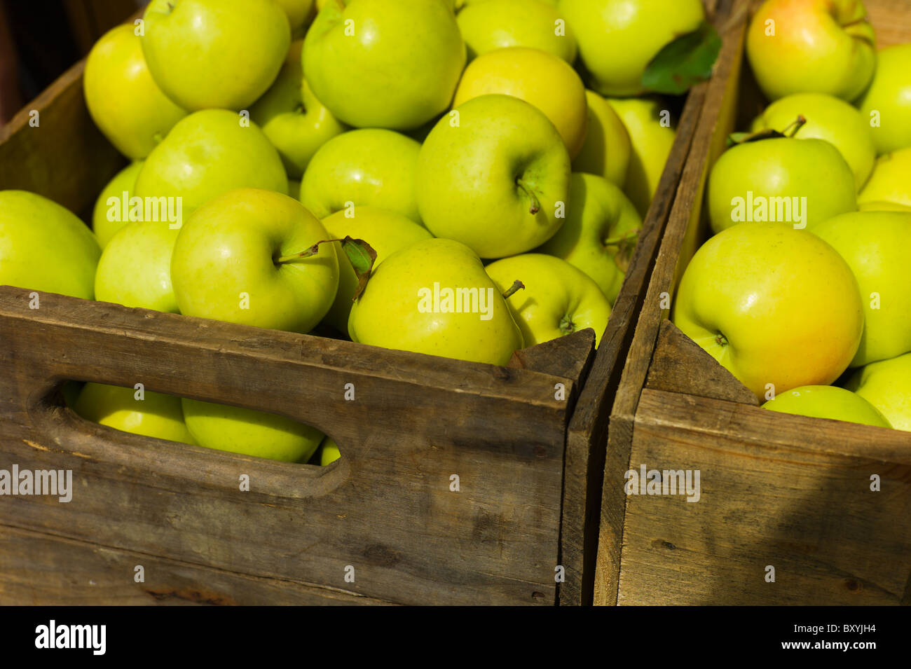 Green apples in box Stock Photo - Alamy
