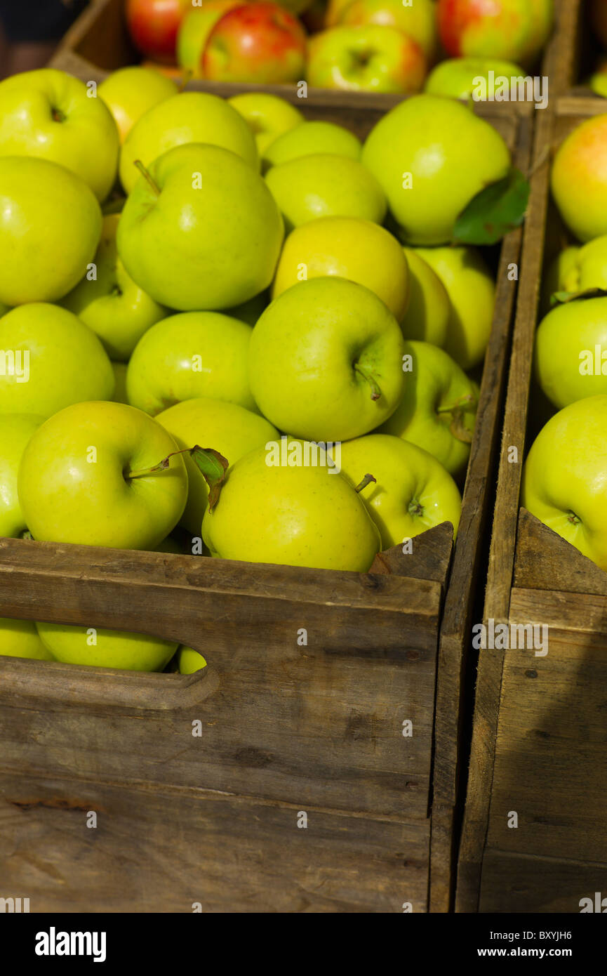 Green apples in box Stock Photo - Alamy