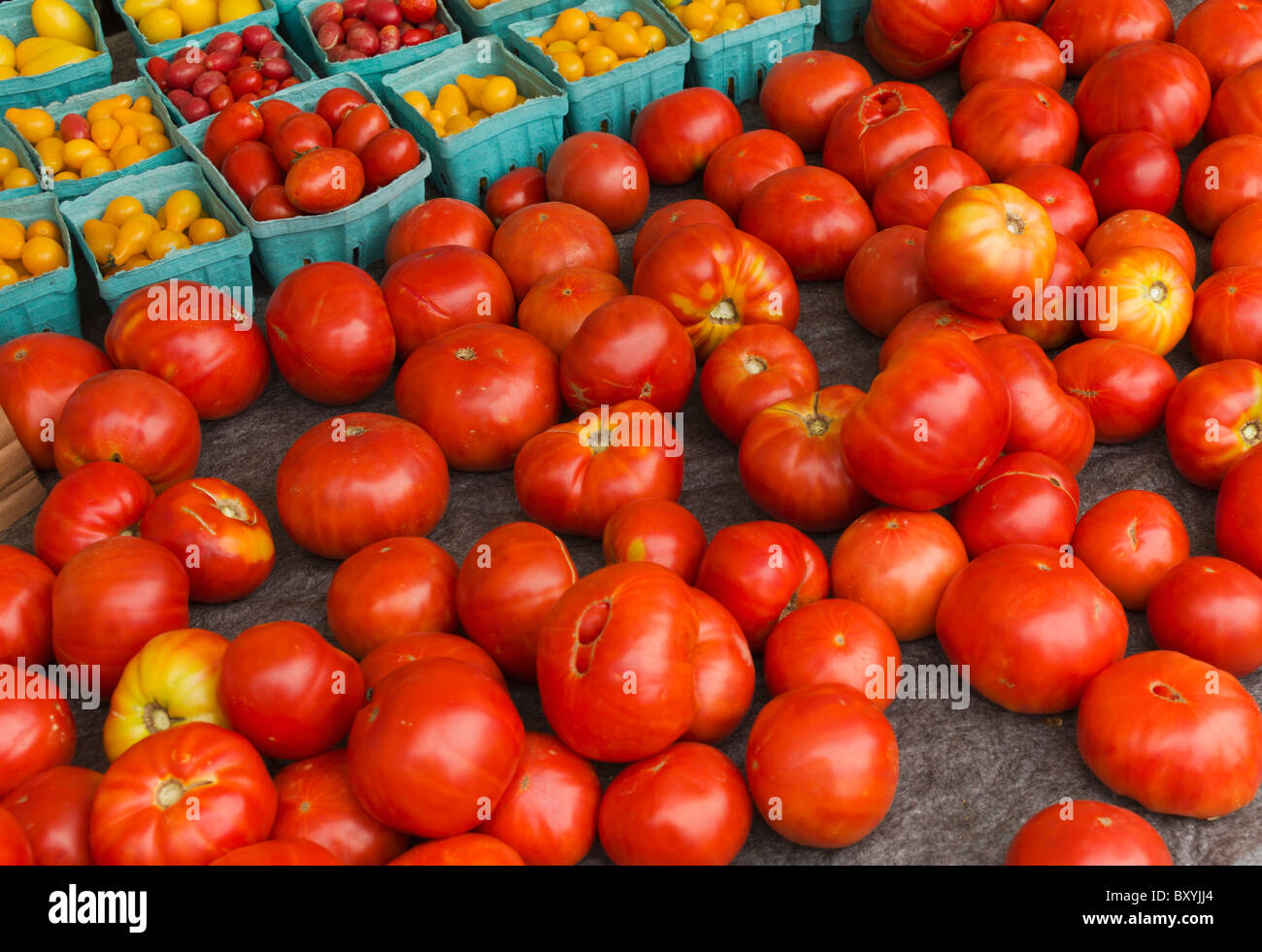 Tomatoes in boxes Stock Photo - Alamy