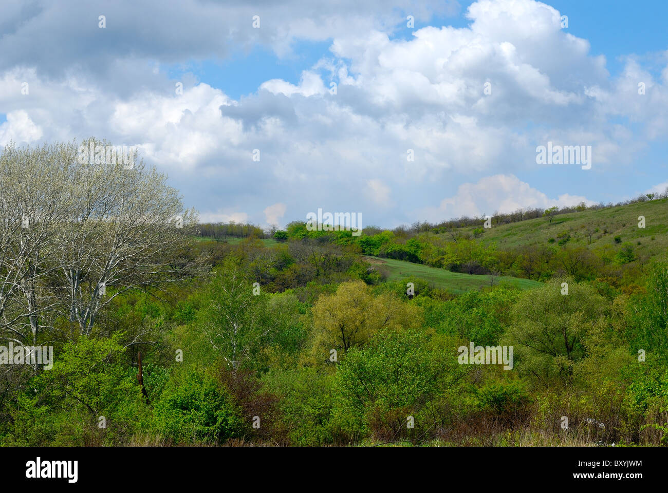 non-urban nature green meadow. landscape Stock Photo - Alamy