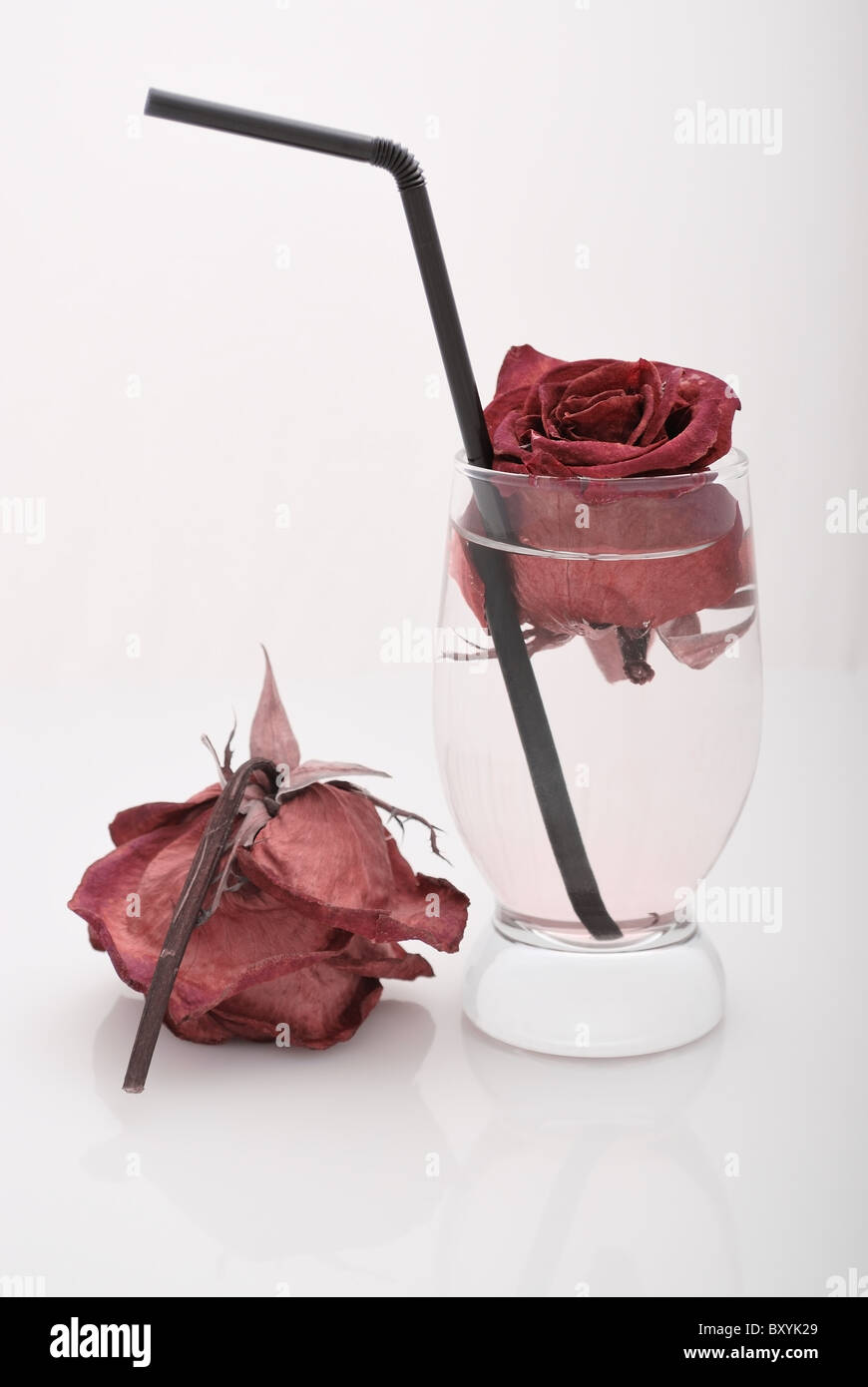withered red rose in a glass. Beauty death flower Stock Photo - Alamy